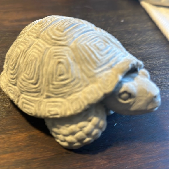 Accents | Turtle Cement Because Who Doesnt Love Turtles 5 Inch Gray ...